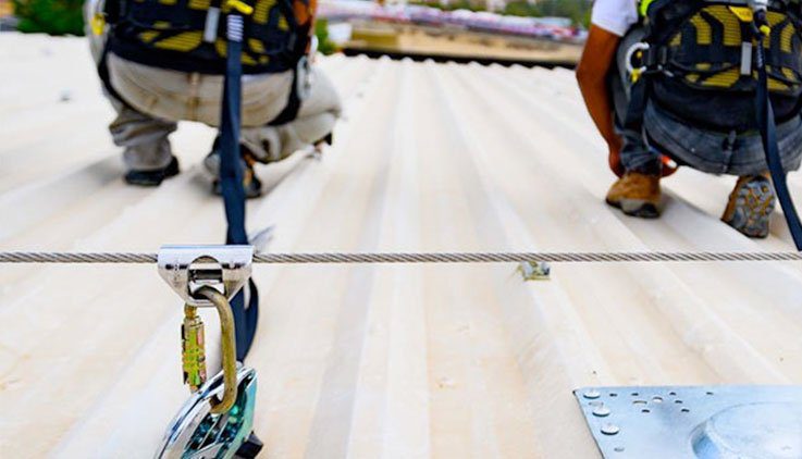 Food & Beverage Fall Protection - Flexible Lifeline Systems